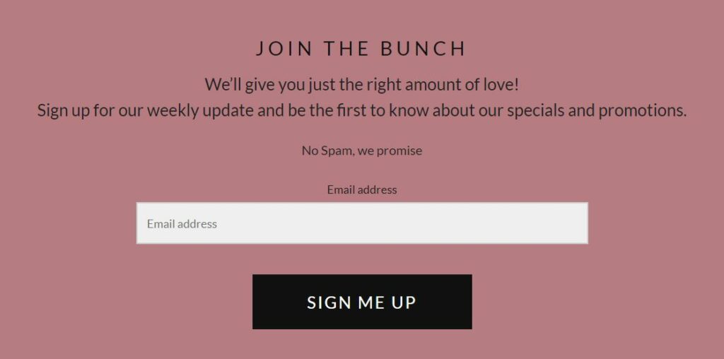 20 Inspiring Newsletter Signup Examples | Sendinblue 20 Inspiring Newsletter Signup Examples | Sendinblue