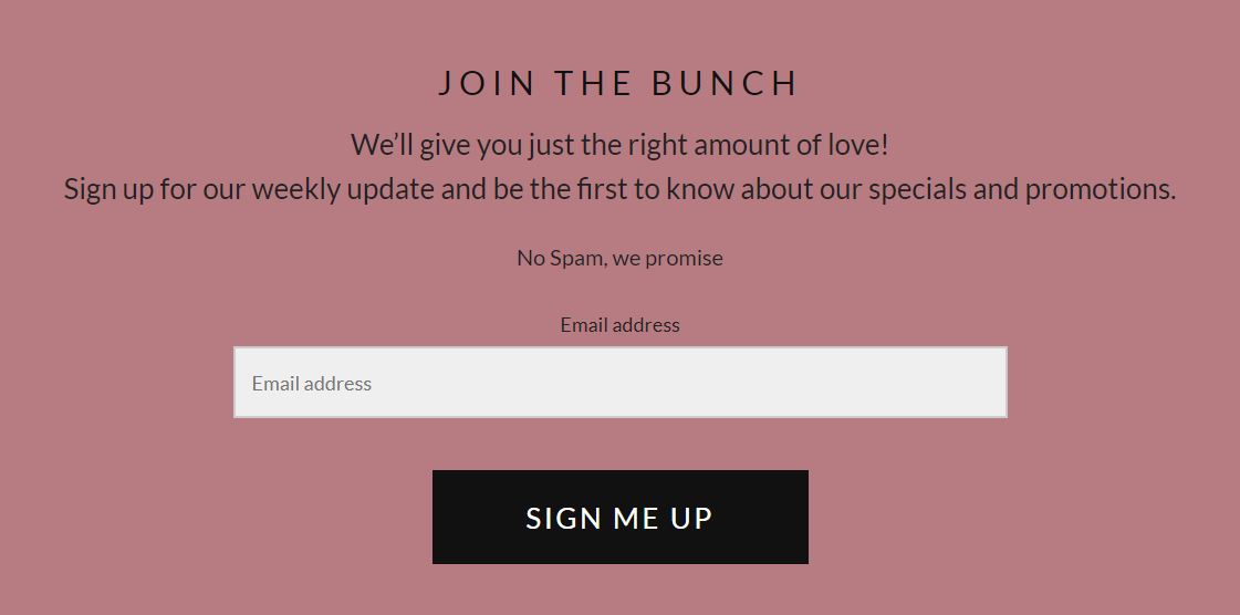 20 Inspiring Newsletter Signup Examples 20 Inspiring Newsletter Signup Examples